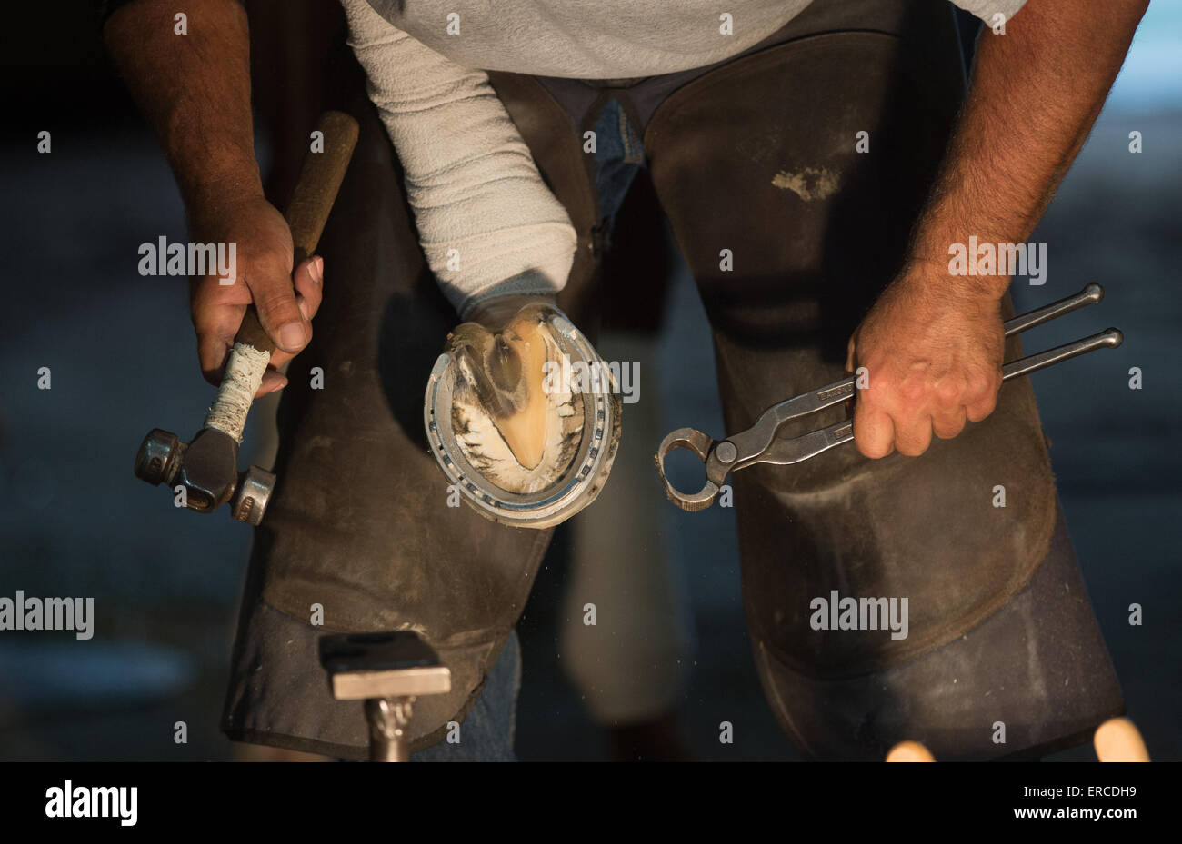 Elmont, New York, USA. 31st May, 2015. Ray Amato puts a horseshoe on ...