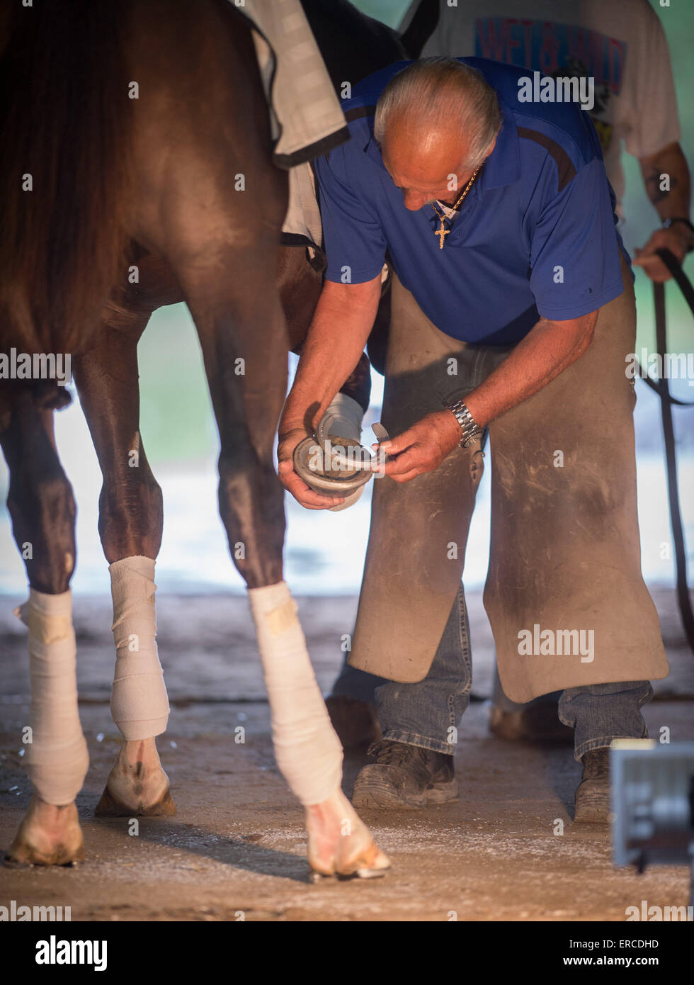 Elmont, New York, USA. 31st May, 2015. Ray Amato puts a horseshoe on ...