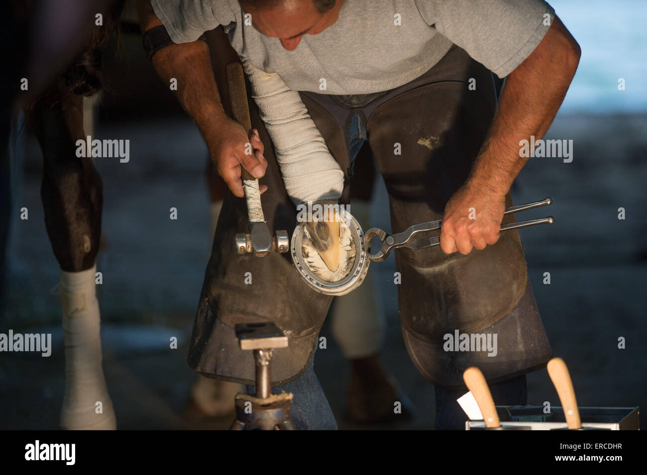 Elmont, New York, USA. 31st May, 2015. Ray Amato puts a horseshoe on ...