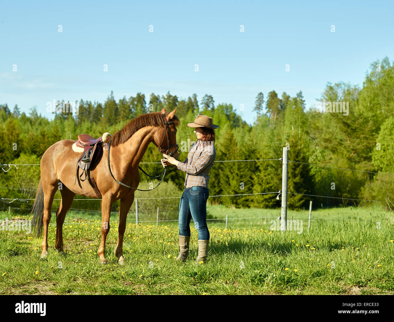 Cowgirl and pony together, sunny beautiful summer day Stock Photo - Alamy
