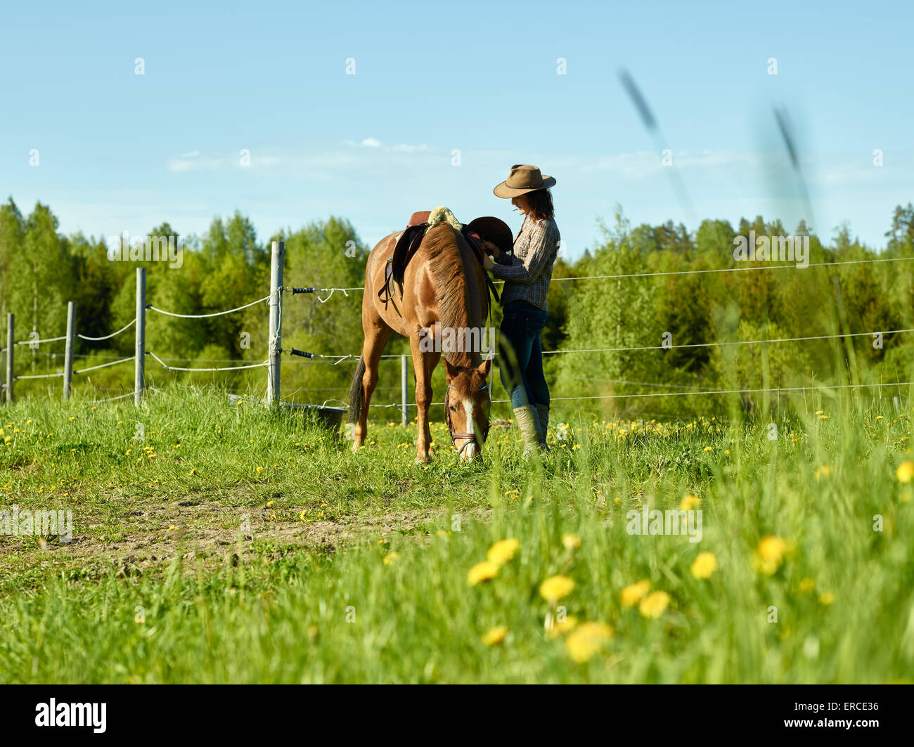 Cowgirl and pony together, sunny beautiful summer day Stock Photo - Alamy