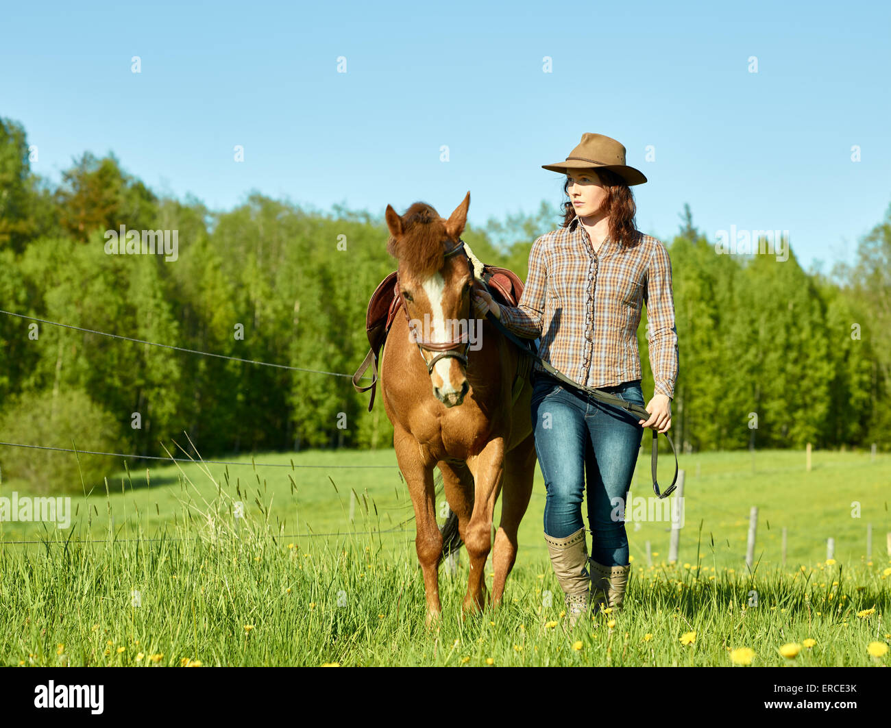 Cowgirl and pony together, sunny beautiful summer day Stock Photo - Alamy