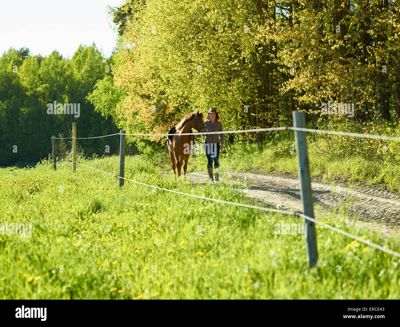 Cowgirl and pony together, sunny beautiful summer day Stock Photo - Alamy