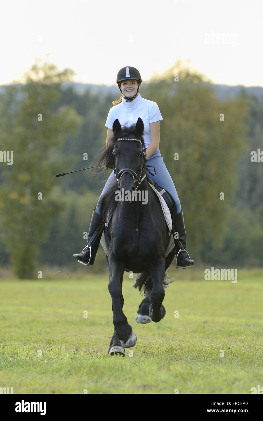 Woman Riding Friesian Horse High Resolution Stock Photography and ...