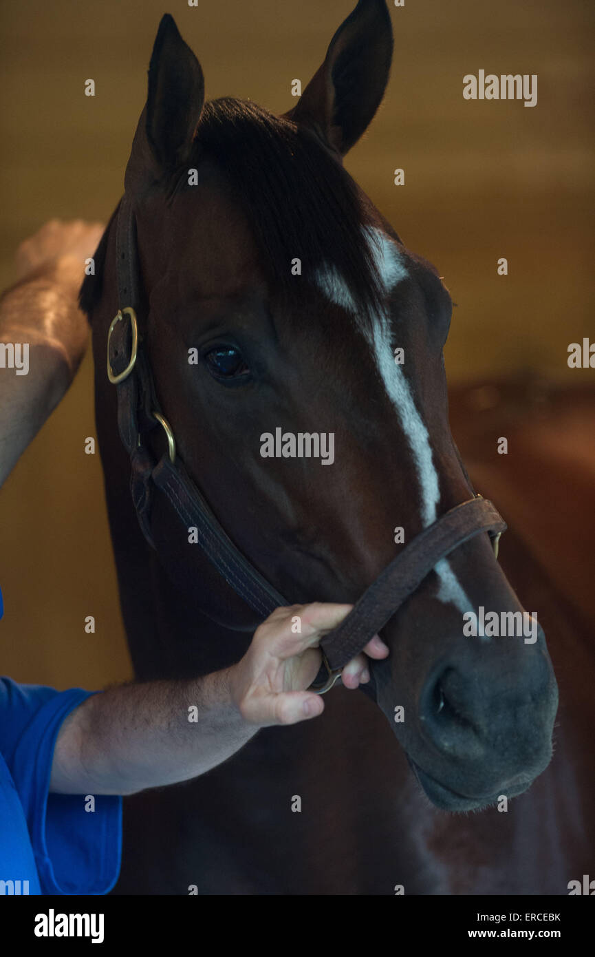 Materiality hi-res stock photography and images - Alamy