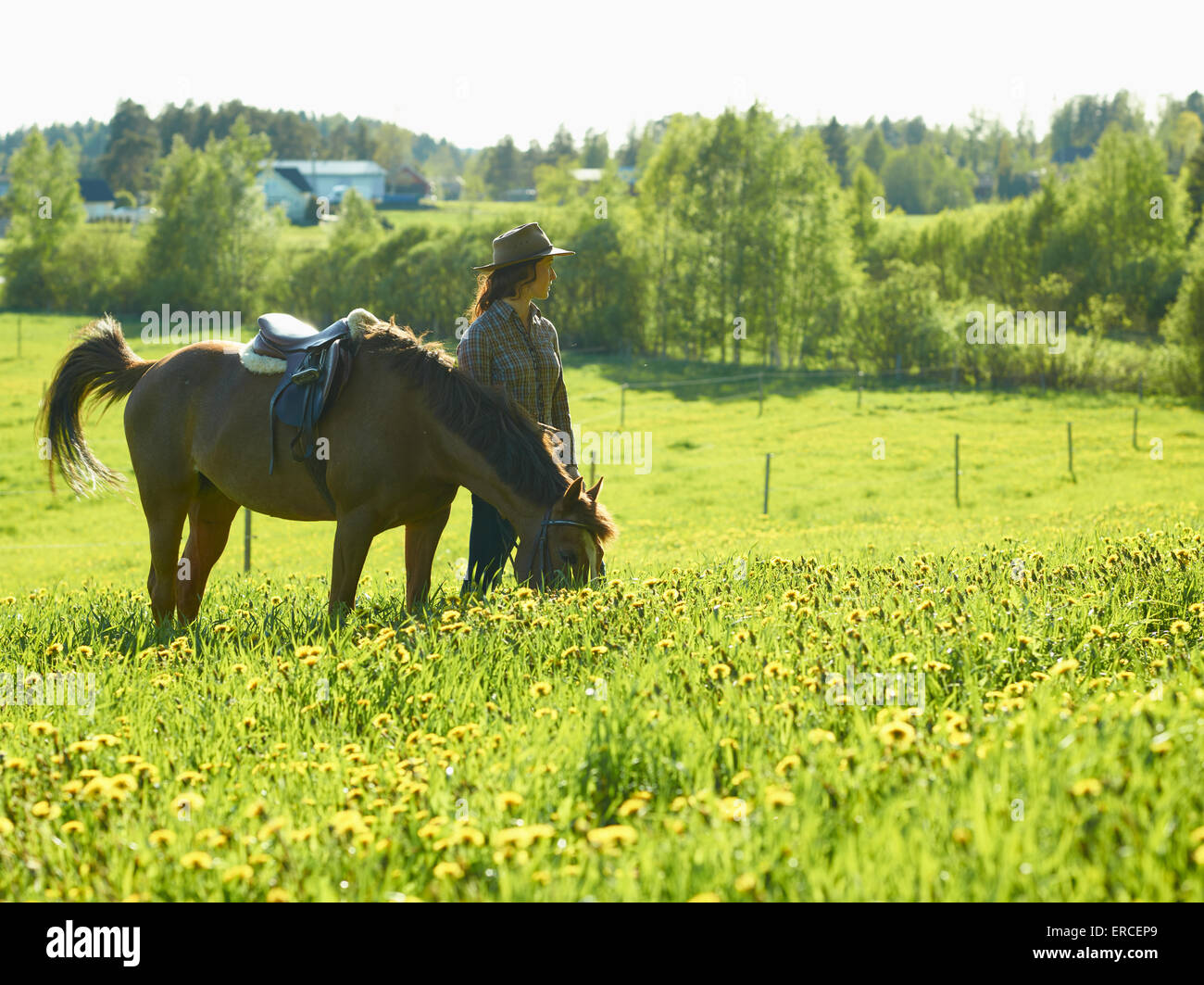 Cowgirl and pony together, sunny beautiful summer day Stock Photo - Alamy