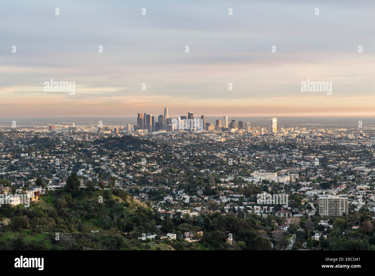 Late afternoon view of downtown Los Angeles from Griffith Park in ...