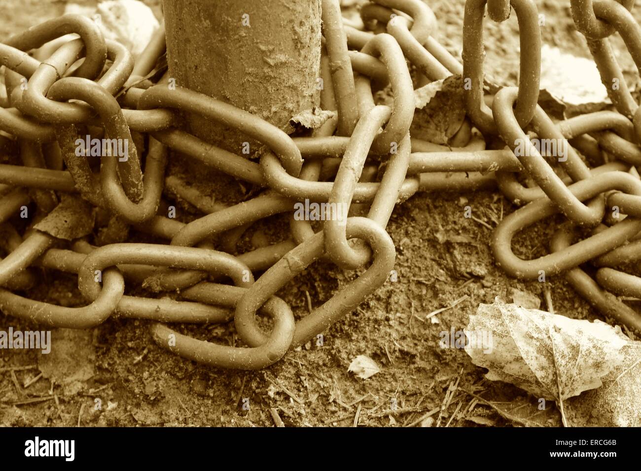 Seepia hi-res stock photography and images - Alamy