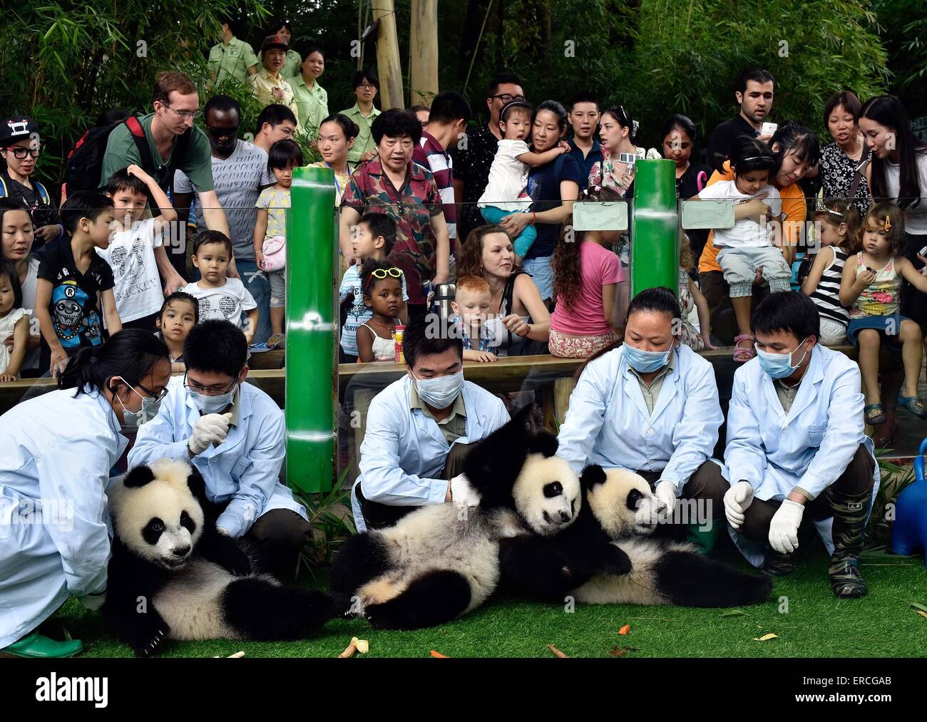Guangzhou, China's Guangdong Province. 1st June, 2015. Children view ...