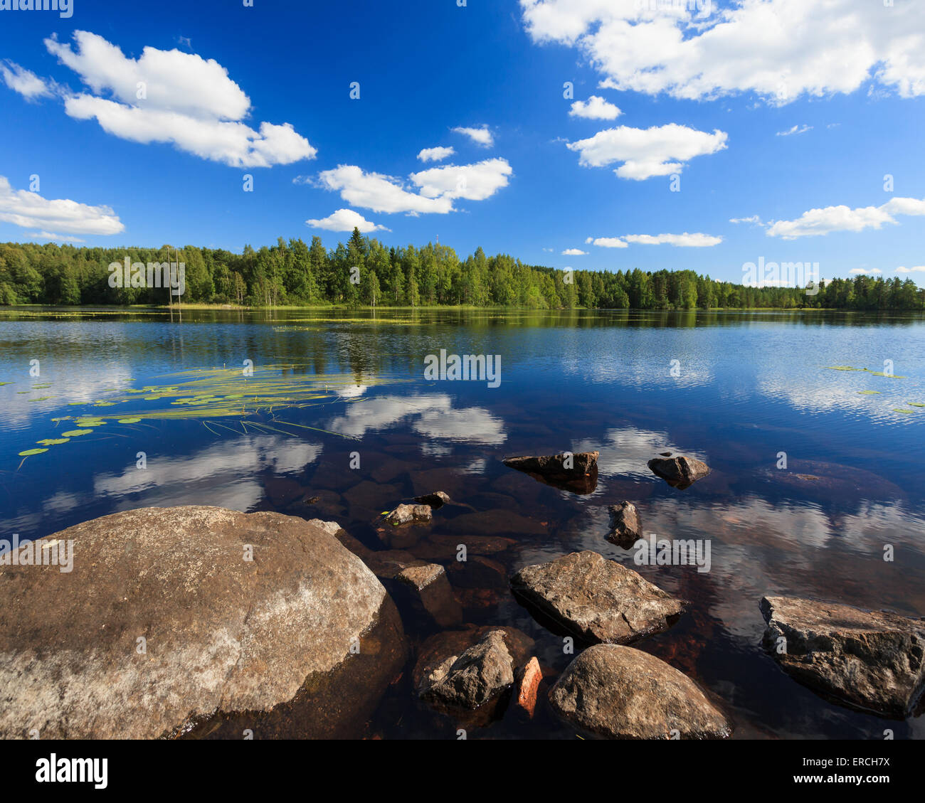Sunny lake landscape from finland Stock Photo - Alamy