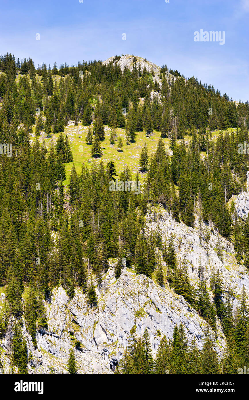 Landscape on the mountain Breitenstein in the Alps in Bavaria, Germany ...