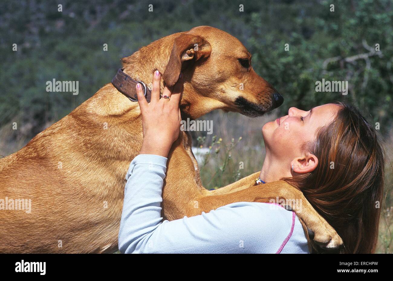 young woman with dog Stock Photo - Alamy