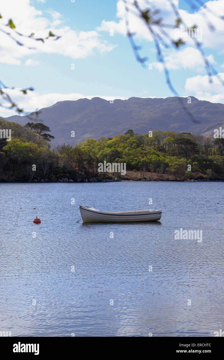 Loch morar monster hi-res stock photography and images - Alamy