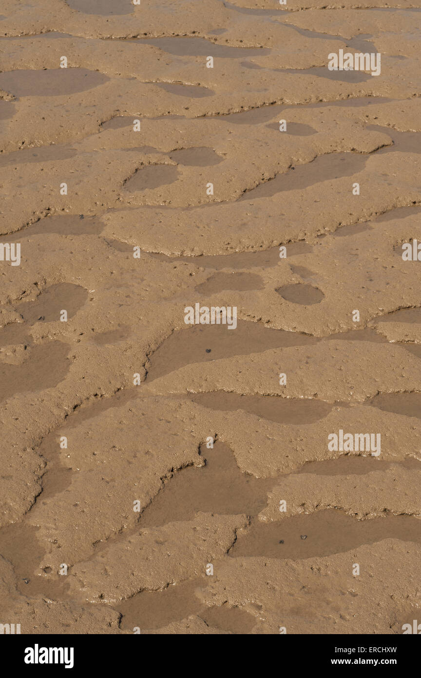 meandering pools and puddles left in silt and mud in River Thames ...