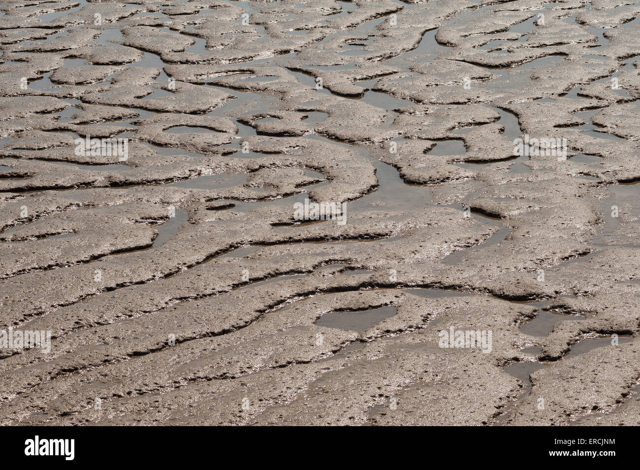 Salt marsh aerial uk hi-res stock photography and images - Alamy