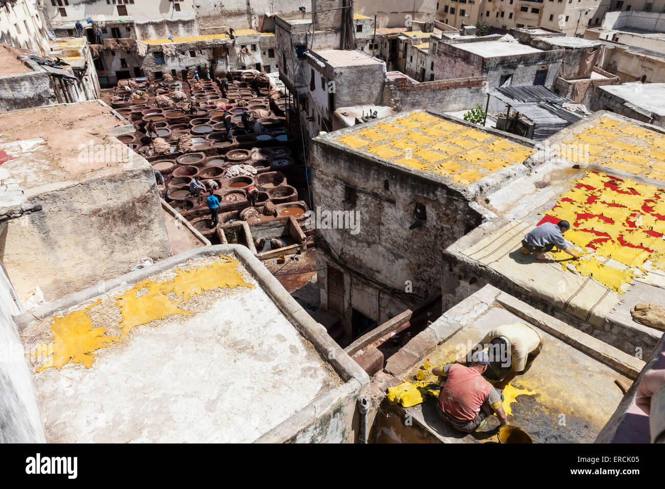 Man working in the ancient leather tanneries in Fez, Morocco Stock ...