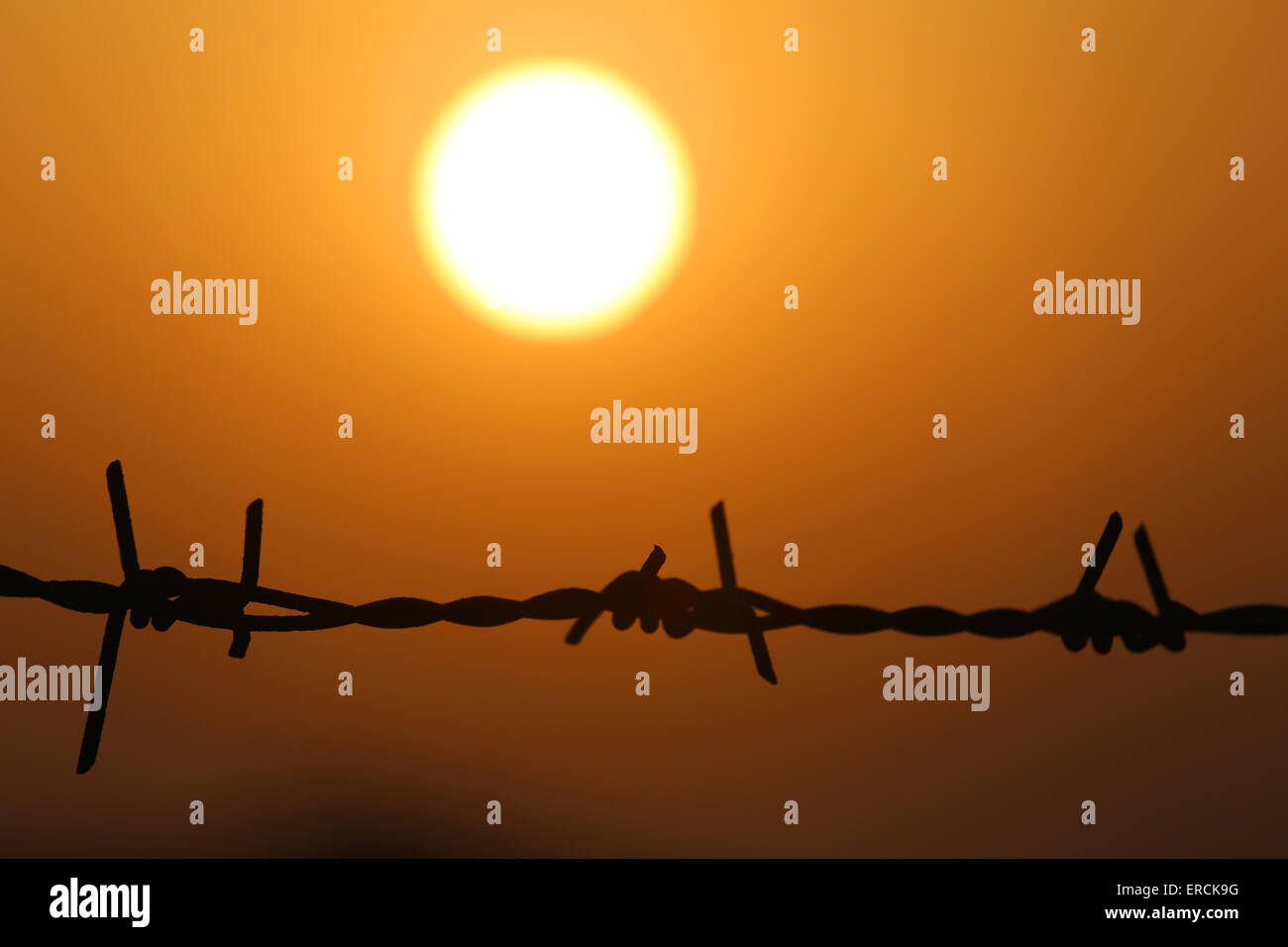 Setting sun behind a fence of barbed wire Stock Photo - Alamy