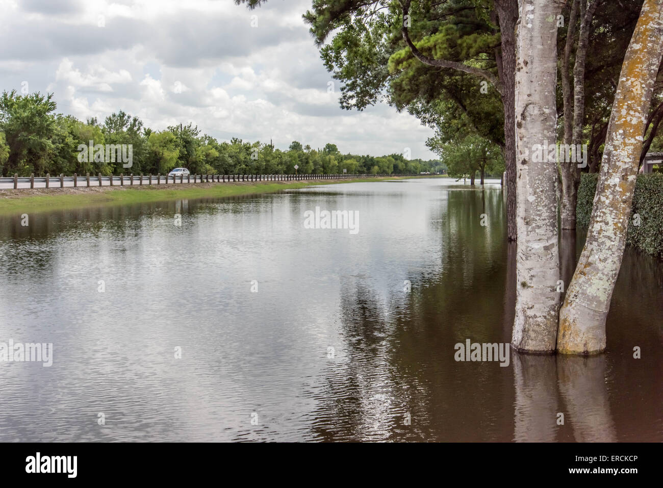 May 30, 2015 - Addicks Reservoir Park, Houston, TX: Standing flood ...