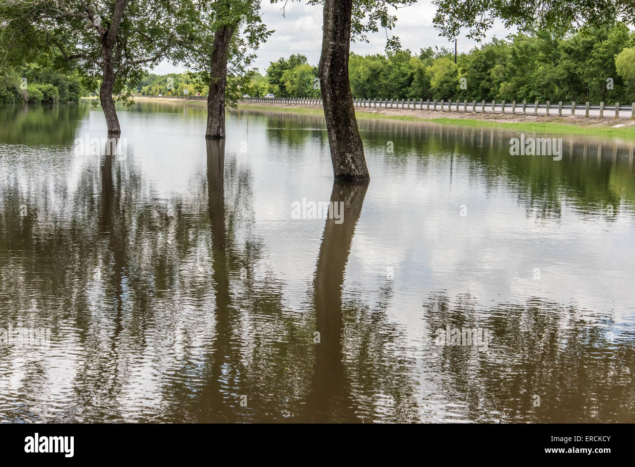 May 30, 2015 - Addicks Reservoir Park, Houston, TX: Standing flood ...