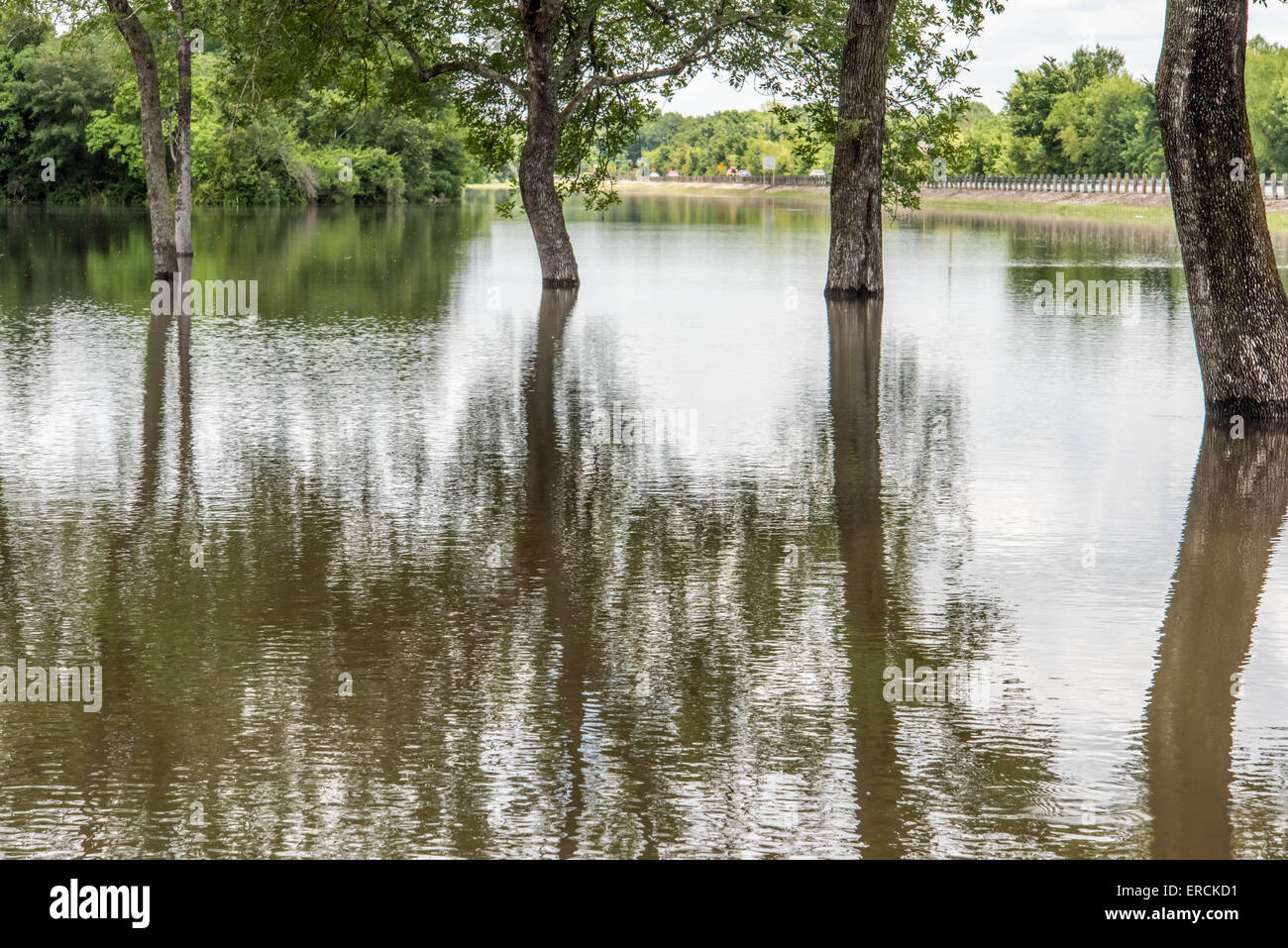 May 30, 2015 - Addicks Reservoir Park, Houston, TX: Standing flood ...