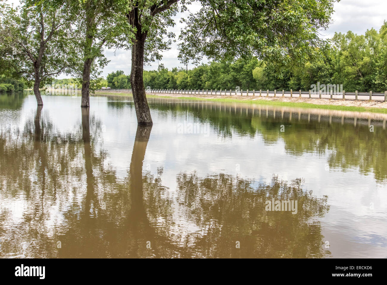 May 30, 2015 - Addicks Reservoir Park, Houston, TX: Standing flood ...