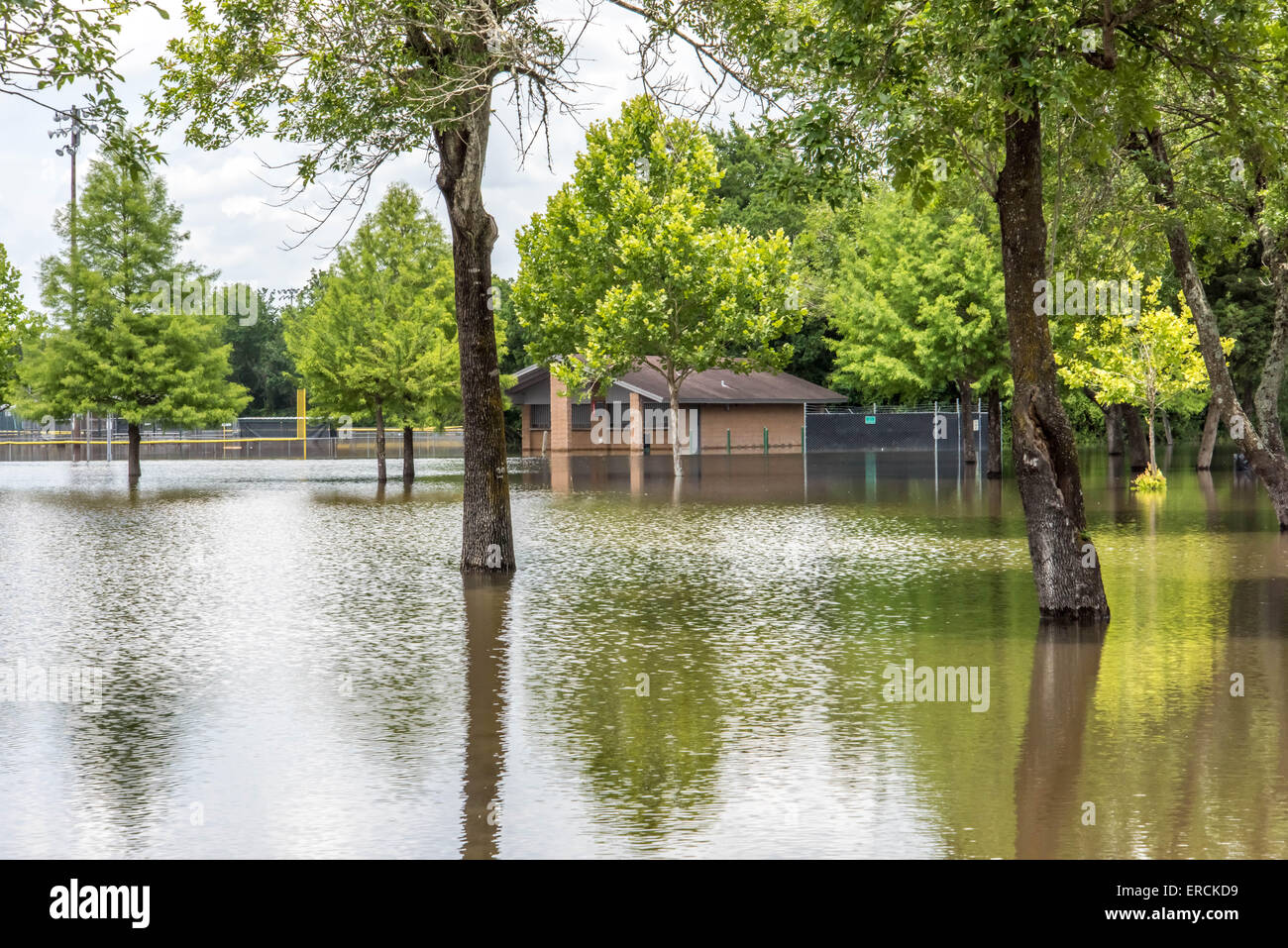 May 30, 2015 - Addicks Reservoir Park, Houston, TX: Standing flood ...