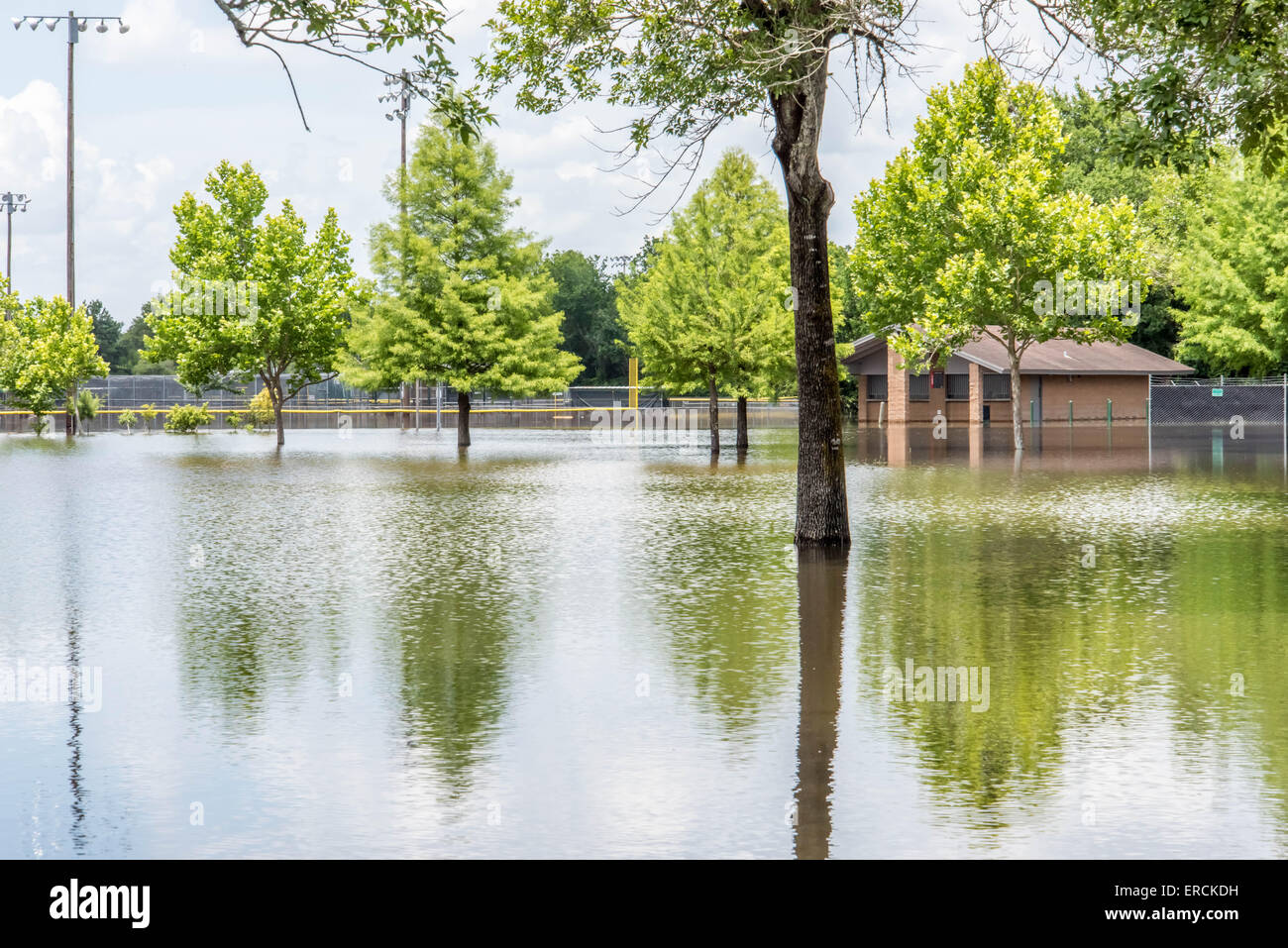 May 30, 2015 - Addicks Reservoir Park, Houston, TX: Standing flood ...
