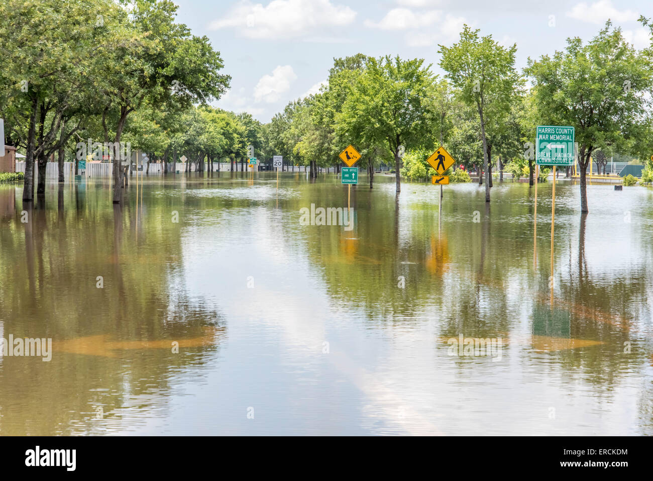 May 30, 2015 - Addicks Reservoir Park, Houston, TX: Standing flood ...