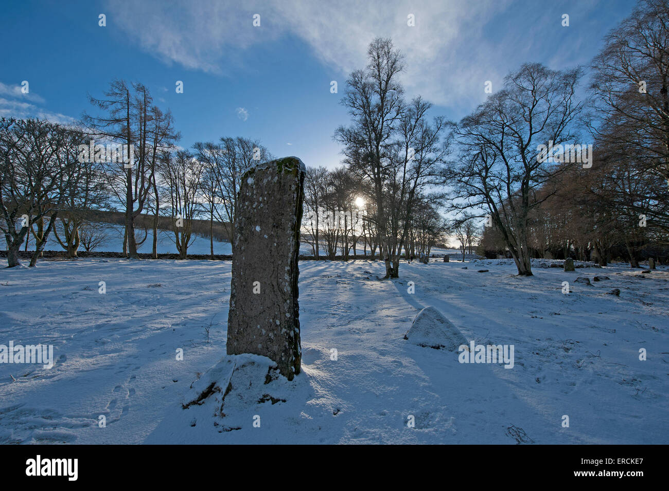 Battlefield archeology hi-res stock photography and images - Alamy