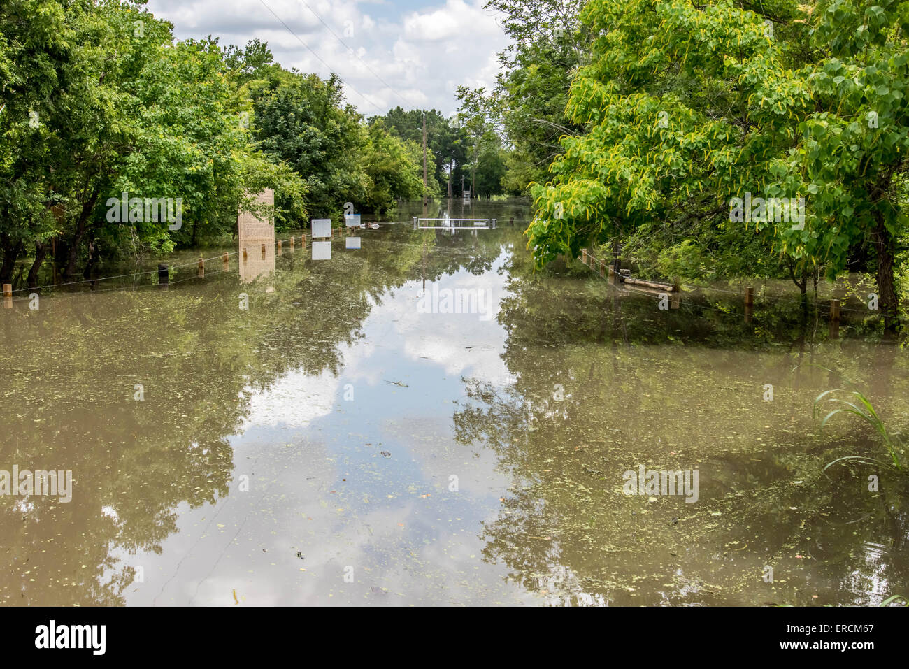 May 30, 2015 - Addicks Reservoir Park, Houston, TX: Standing flood ...