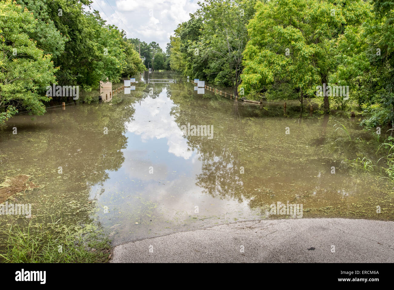 May 30, 2015 - Addicks Reservoir Park, Houston, TX: Standing flood ...