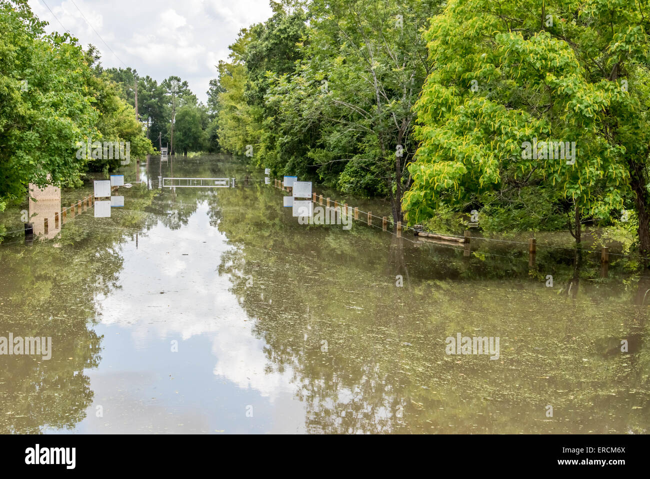 May 30, 2015 - Addicks Reservoir Park, Houston, TX: Standing flood ...