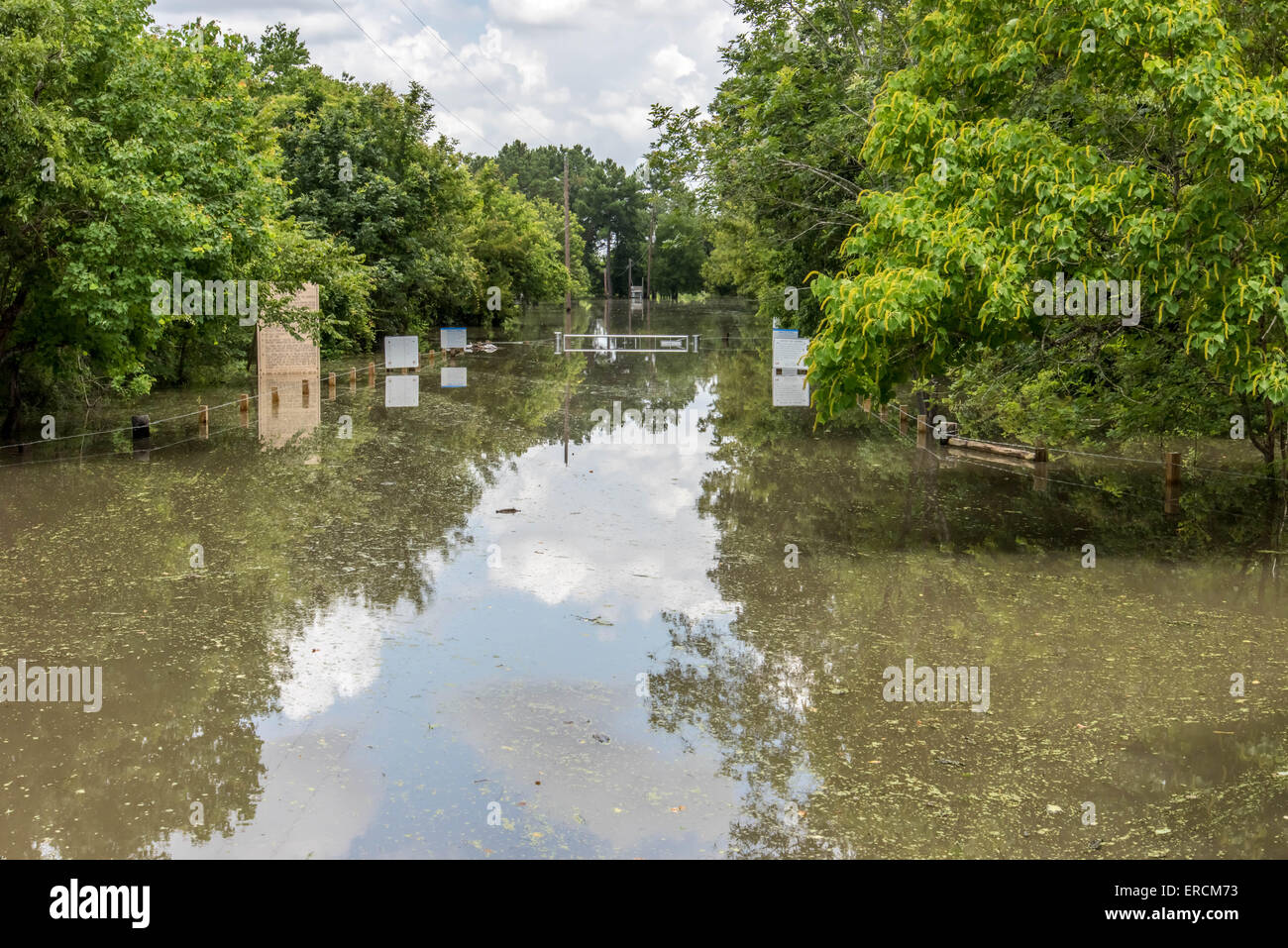 May 30, 2015 - Addicks Reservoir Park, Houston, TX: Standing flood ...