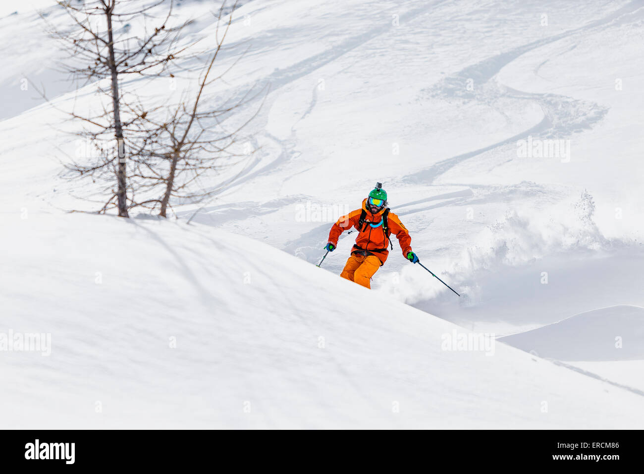 a man plays with his telemark skis in a beautiful wood, in the west ...