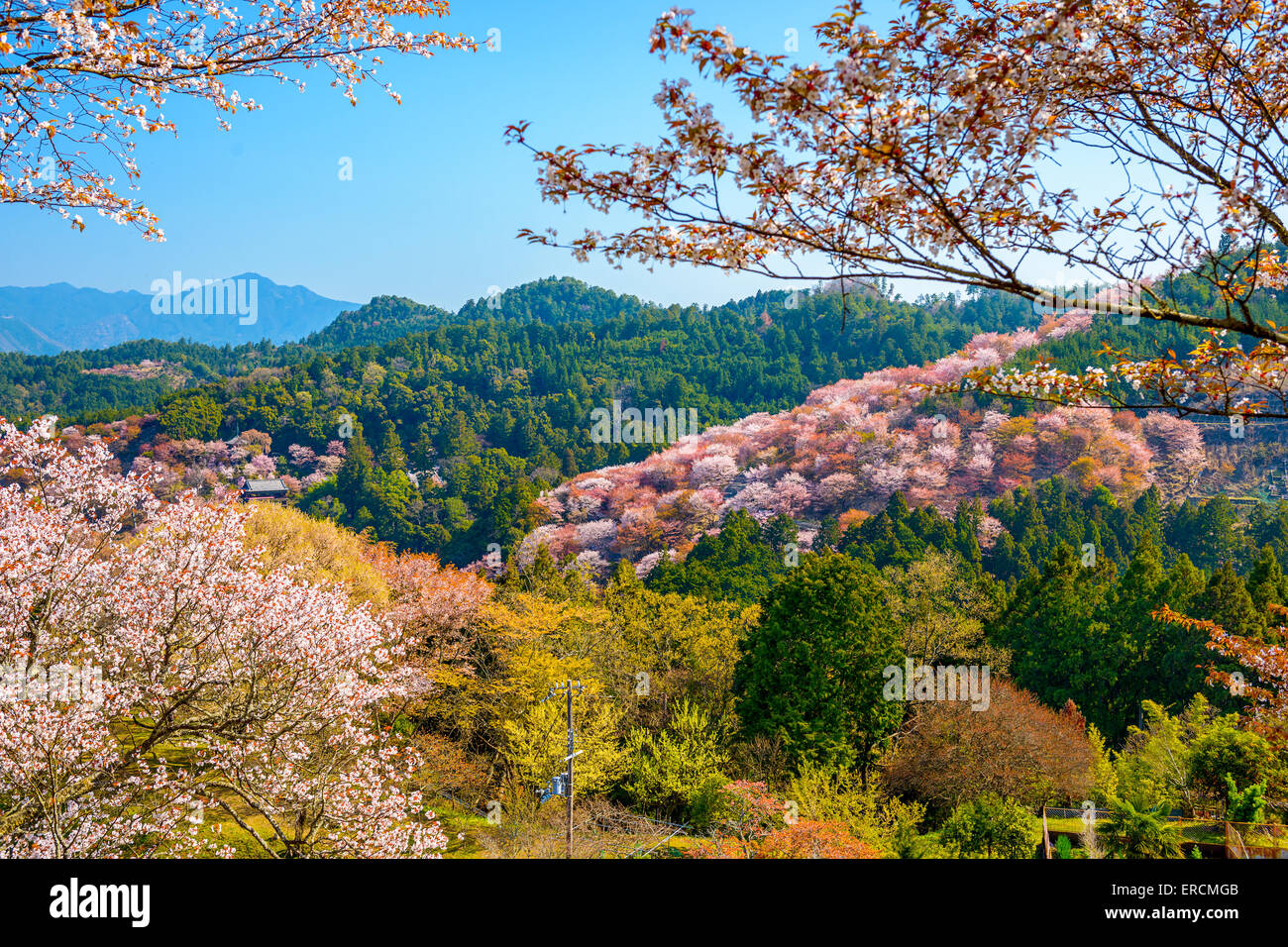Yoshinoyama, Nara, Japan spring landscape Stock Photo - Alamy