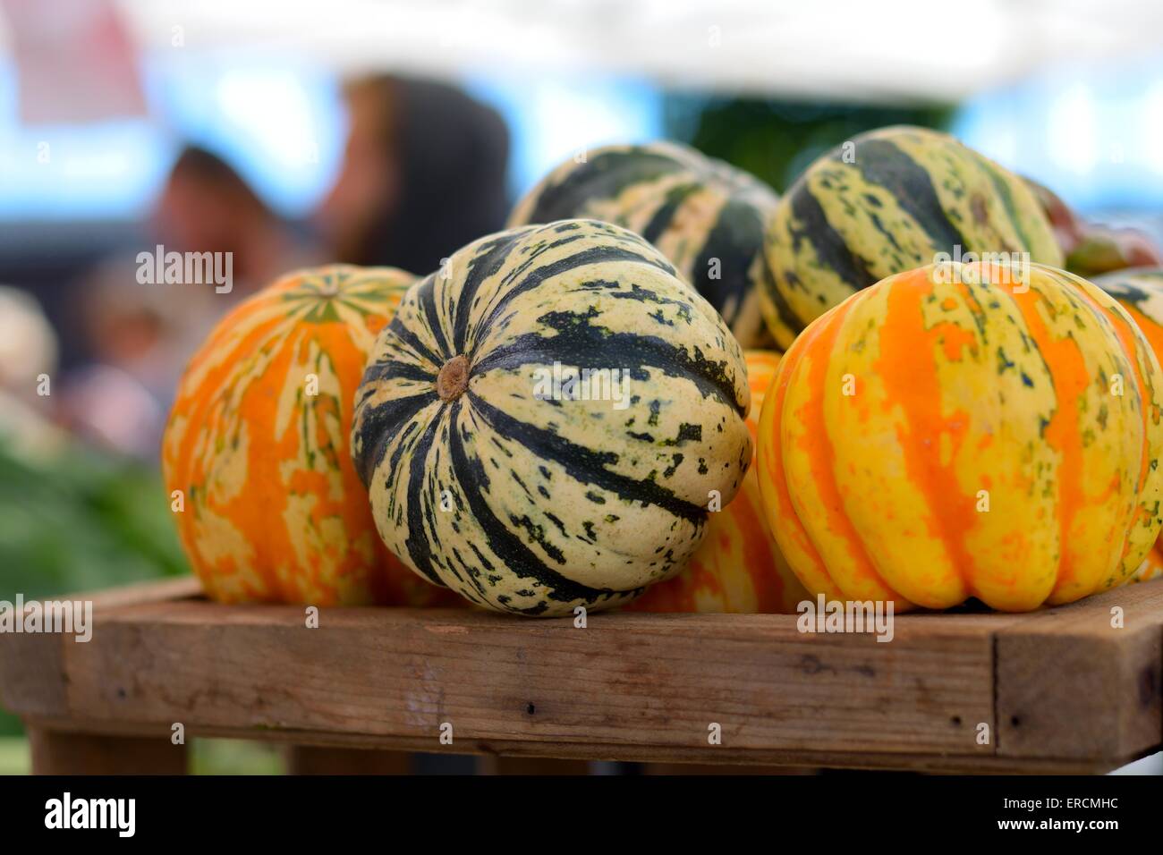 Squash at the Farmer's Market Stock Photo - Alamy