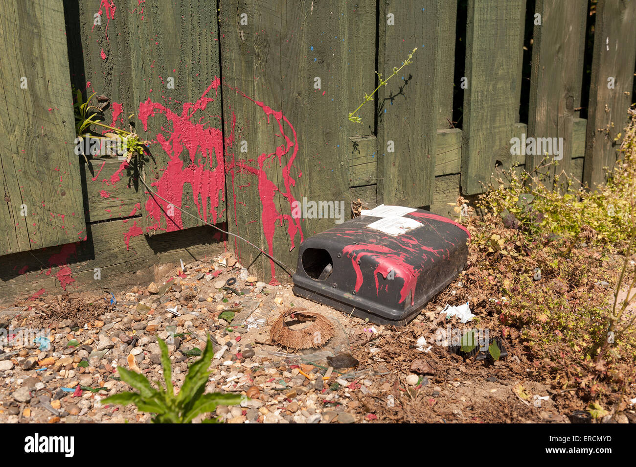 Vermin rat or rodent trap placed on side wall in local rat run route in ...