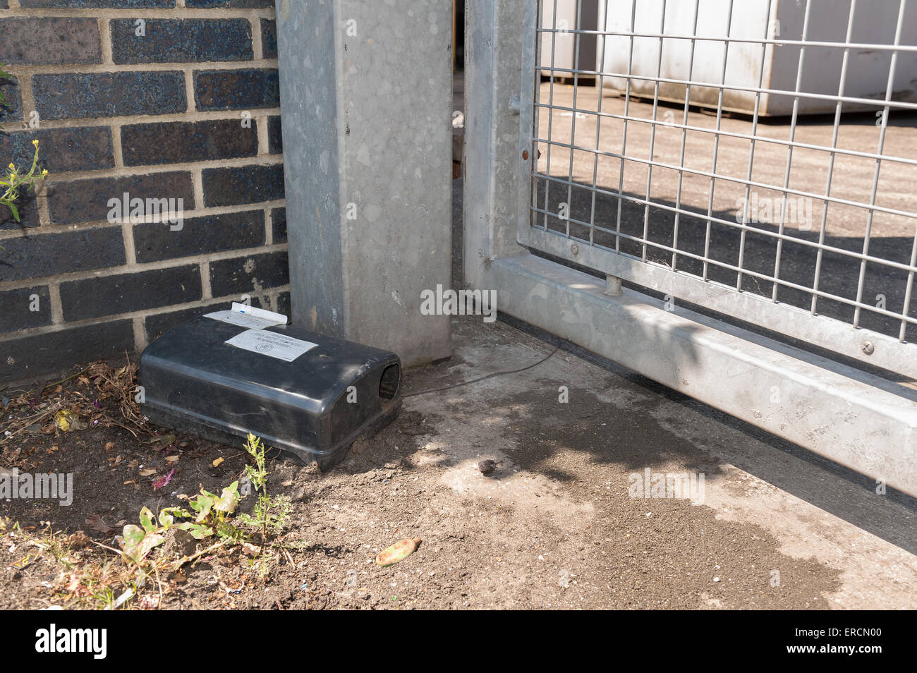 Vermin rat or rodent trap placed on side wall in local rat run route in ...
