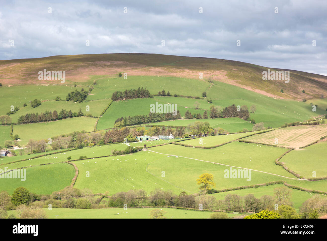 Farming agriculture mid wales landscape hi-res stock photography and ...