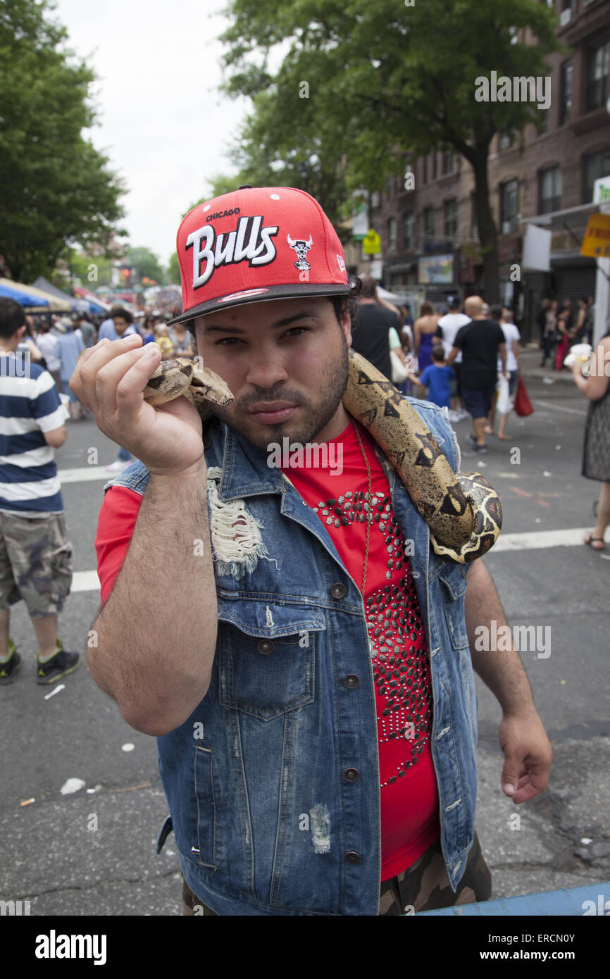 Man shows off his pet Boa Constrictor at a street fair in Park SLope ...