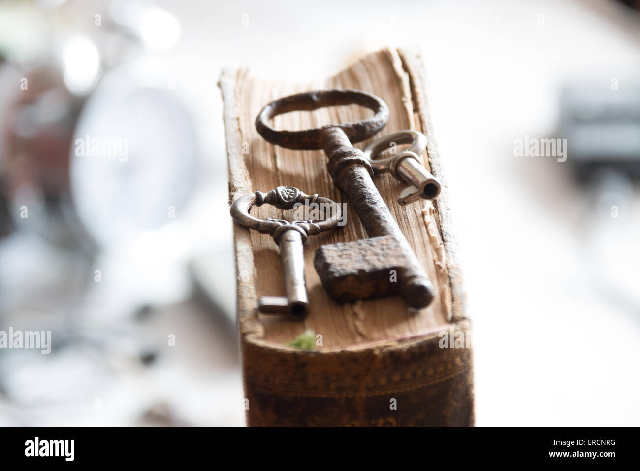 old keys and book, vintage style Stock Photo - Alamy