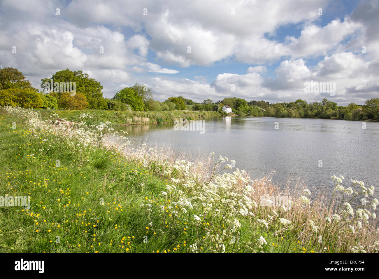 Tardebigge Reservoir on the Worcester and Birmingham Canal near ...