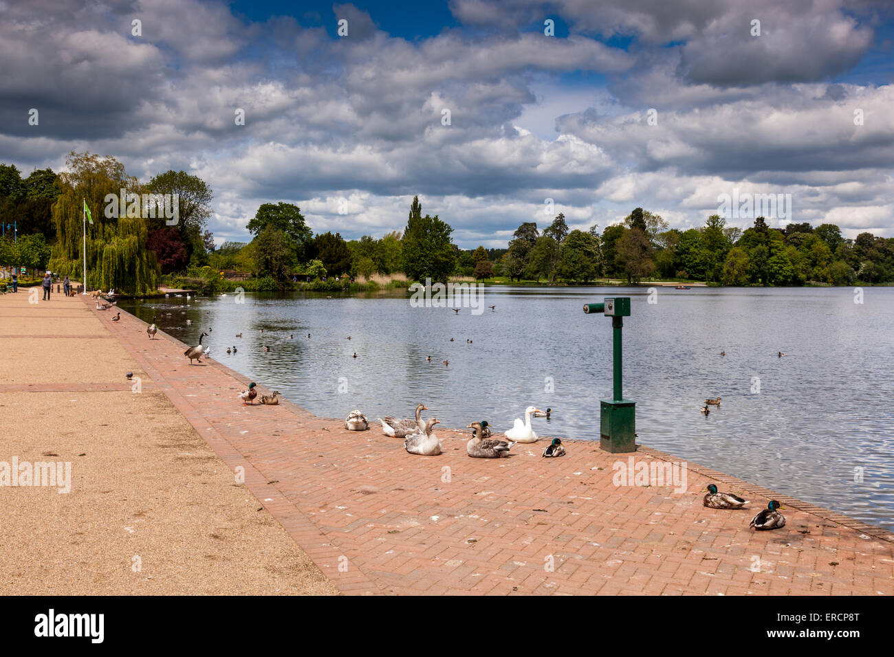The Promenade beside The Mere at Ellesmere (known as Shropshire's Lake ...
