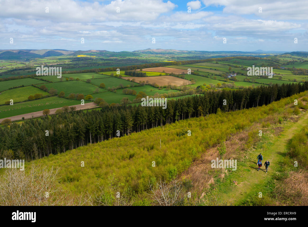 Looking out over South Shropshire from Flounders Folly Stock Photo - Alamy