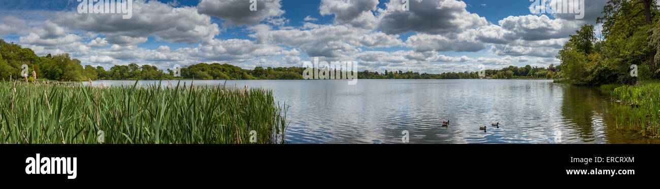 Panorama of The Mere, Ellesmere (known as Shropshire's Lake District ...