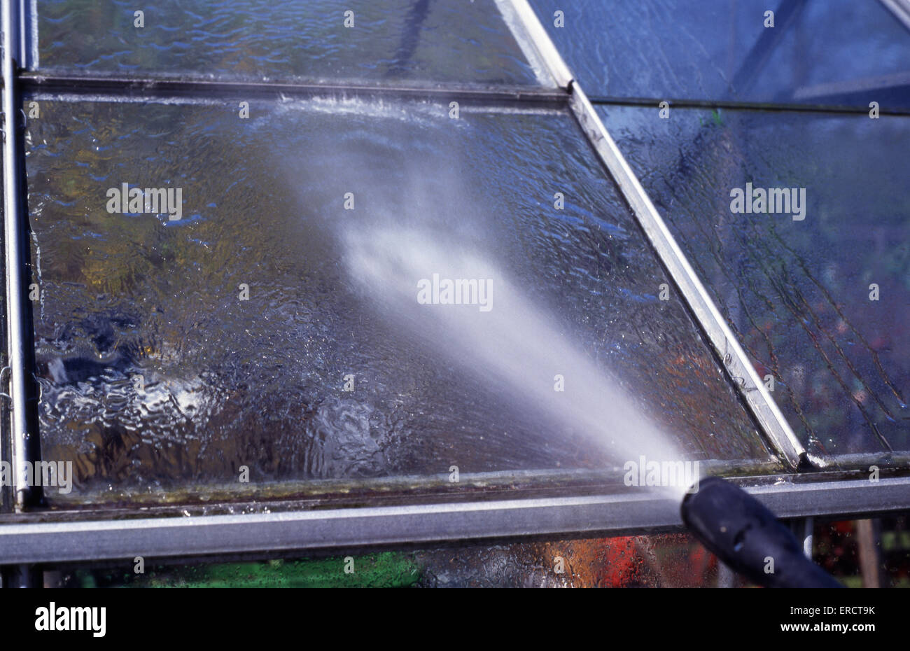 Cleaning greenhouse with pressure washer Stock Photo - Alamy