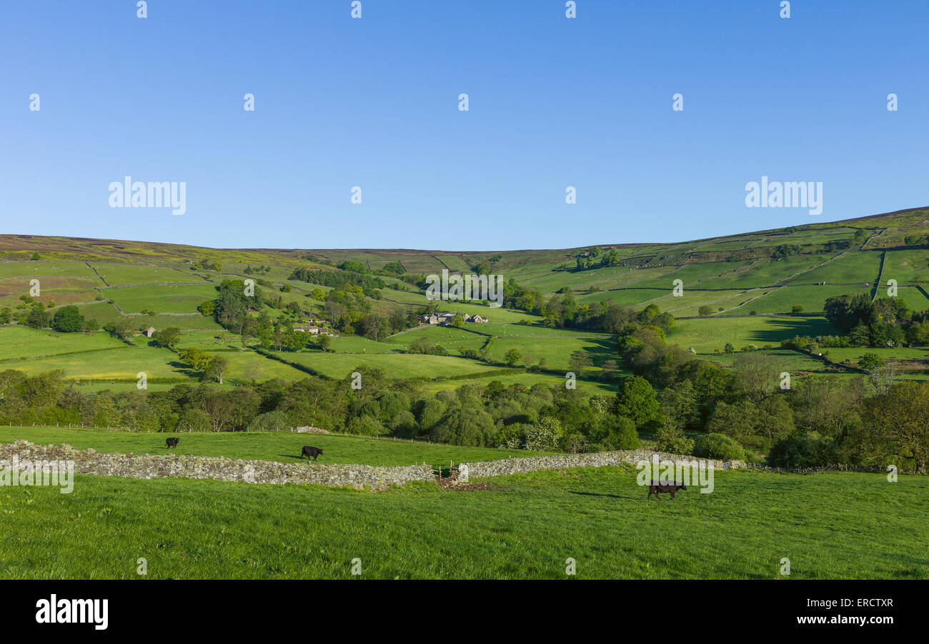 Lush green fields hi-res stock photography and images - Alamy