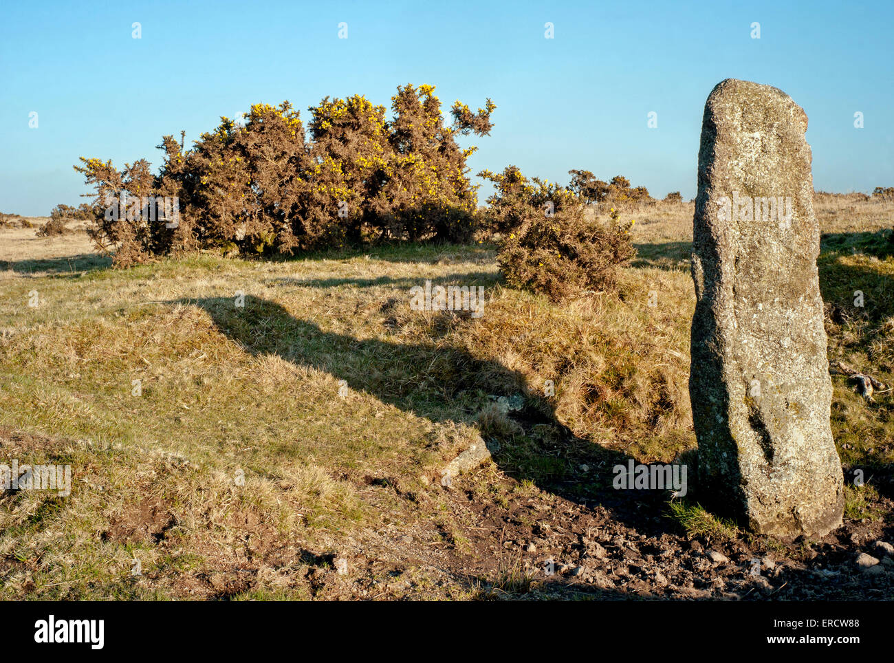 Granite standing stone casting shadow on bodmin moor hi-res stock ...