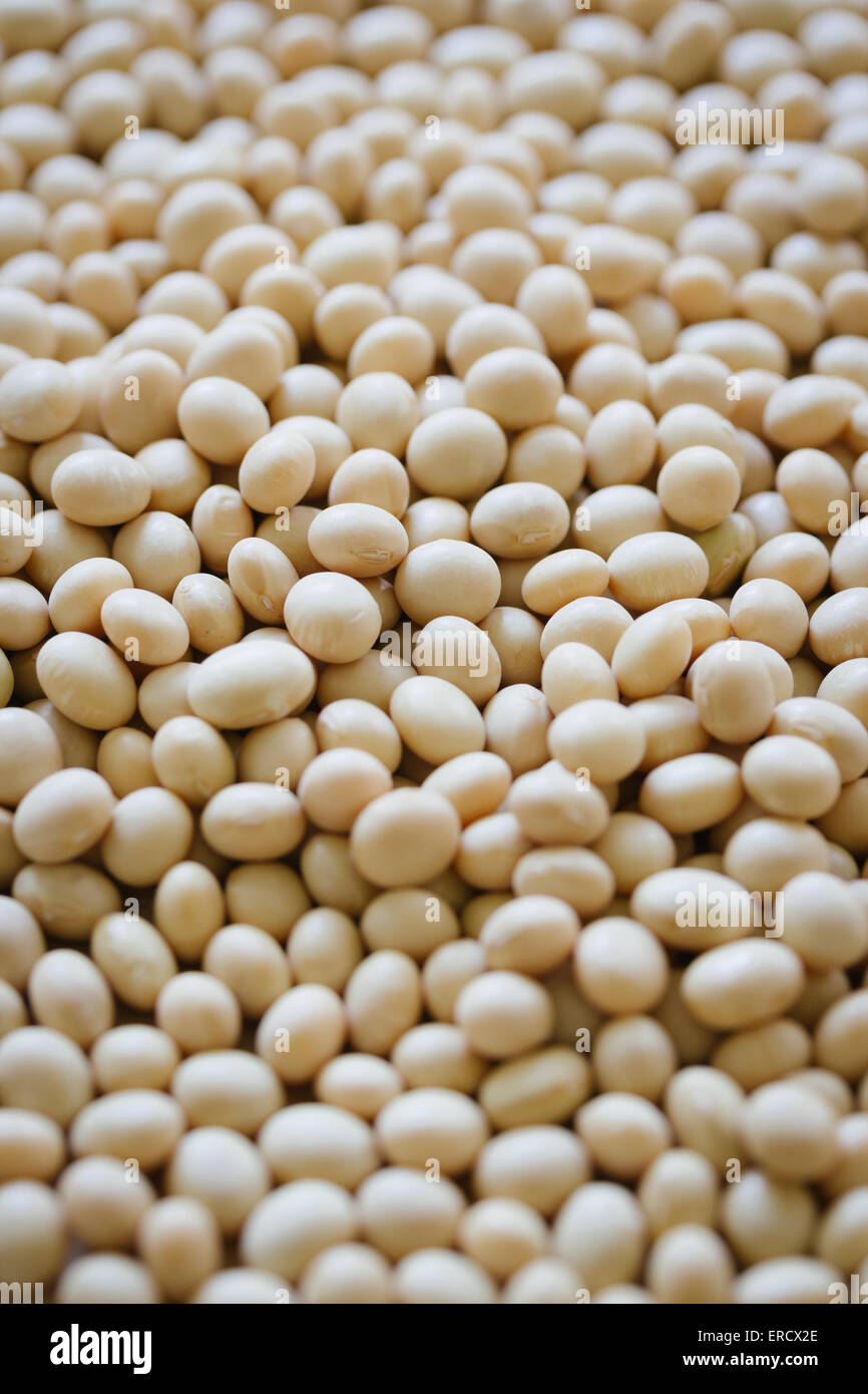 Soybean grain hi-res stock photography and images - Alamy