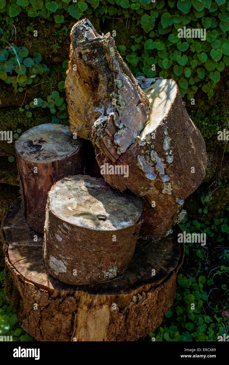 wood chopping block with logs Stock Photo - Alamy
